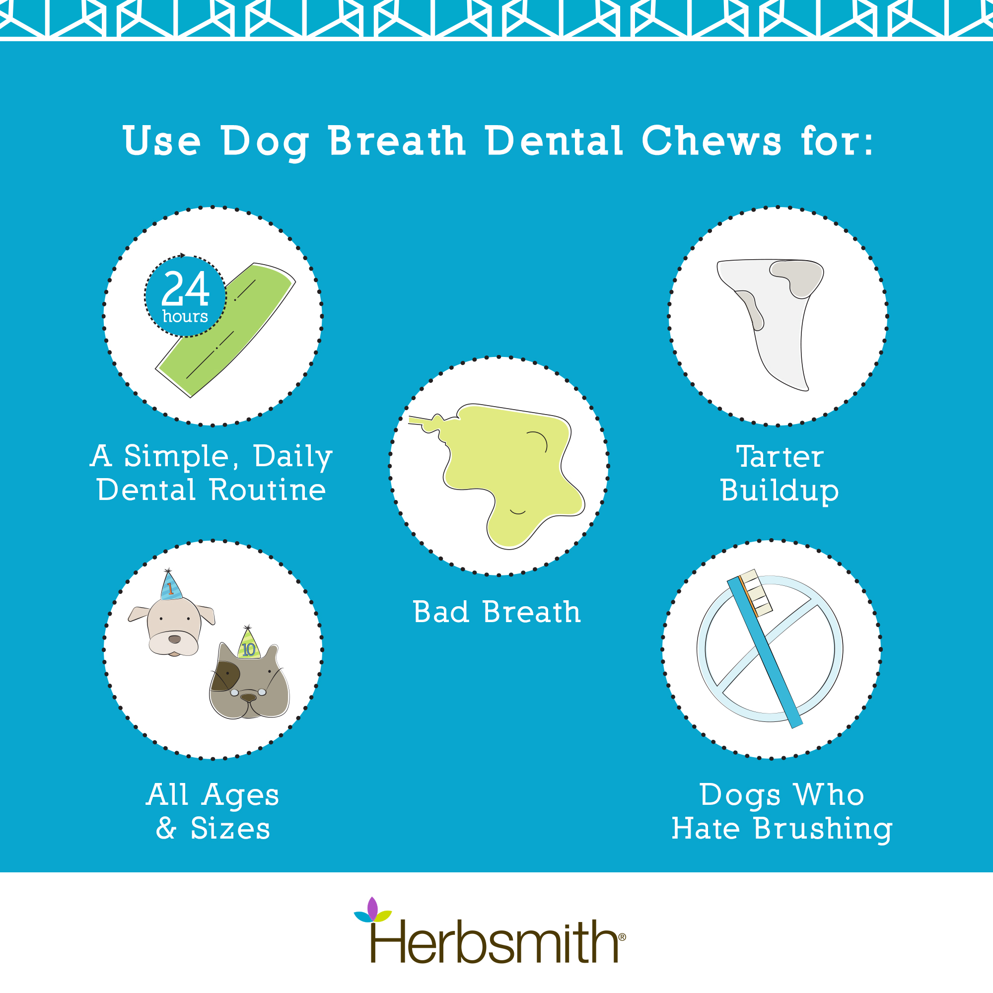 Dog Breath Dental Chews | Herbsmith